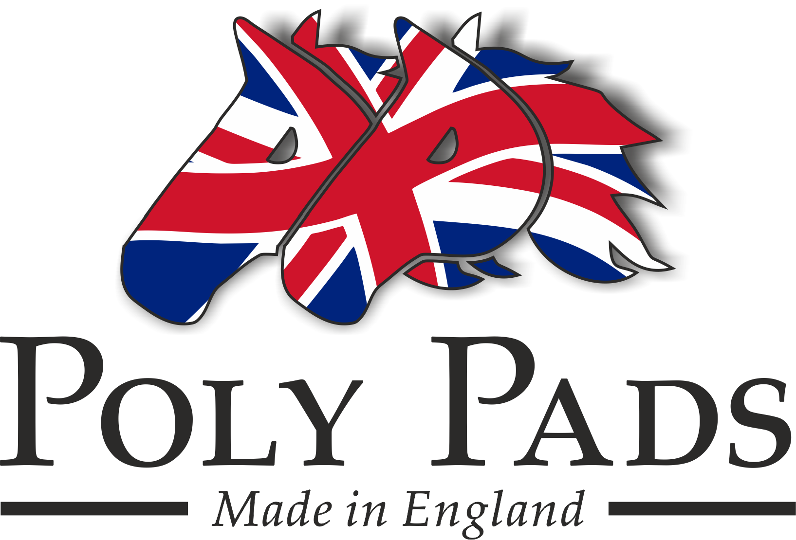 Pony Club Polocrosse